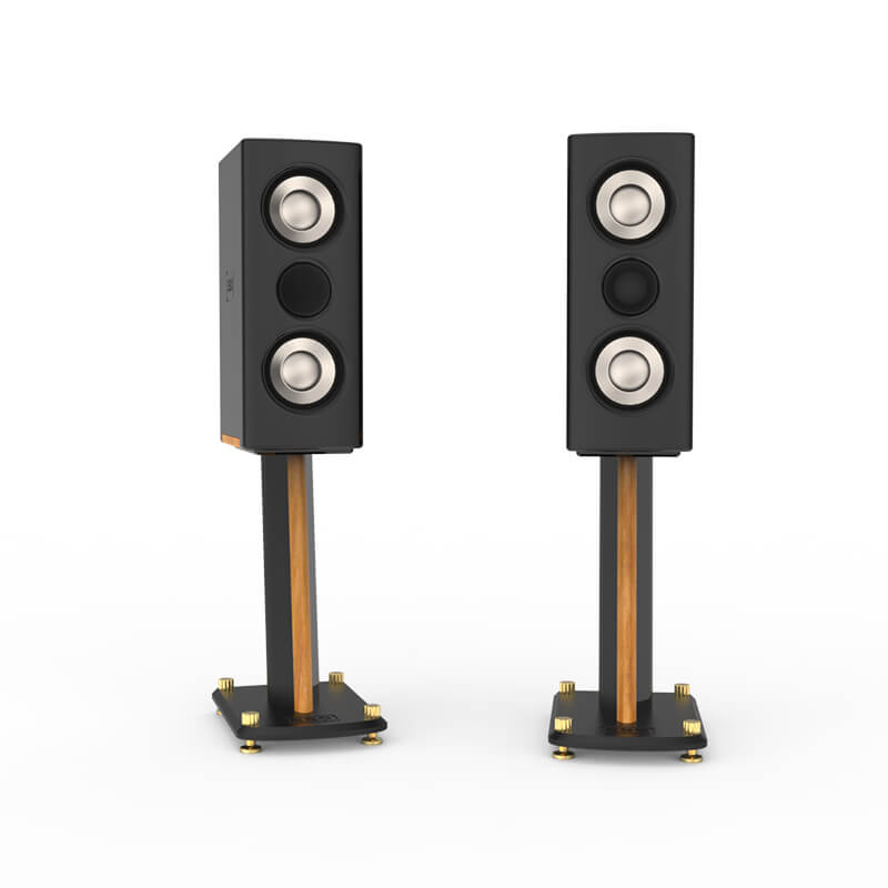 Speaker – ESD Acoustic